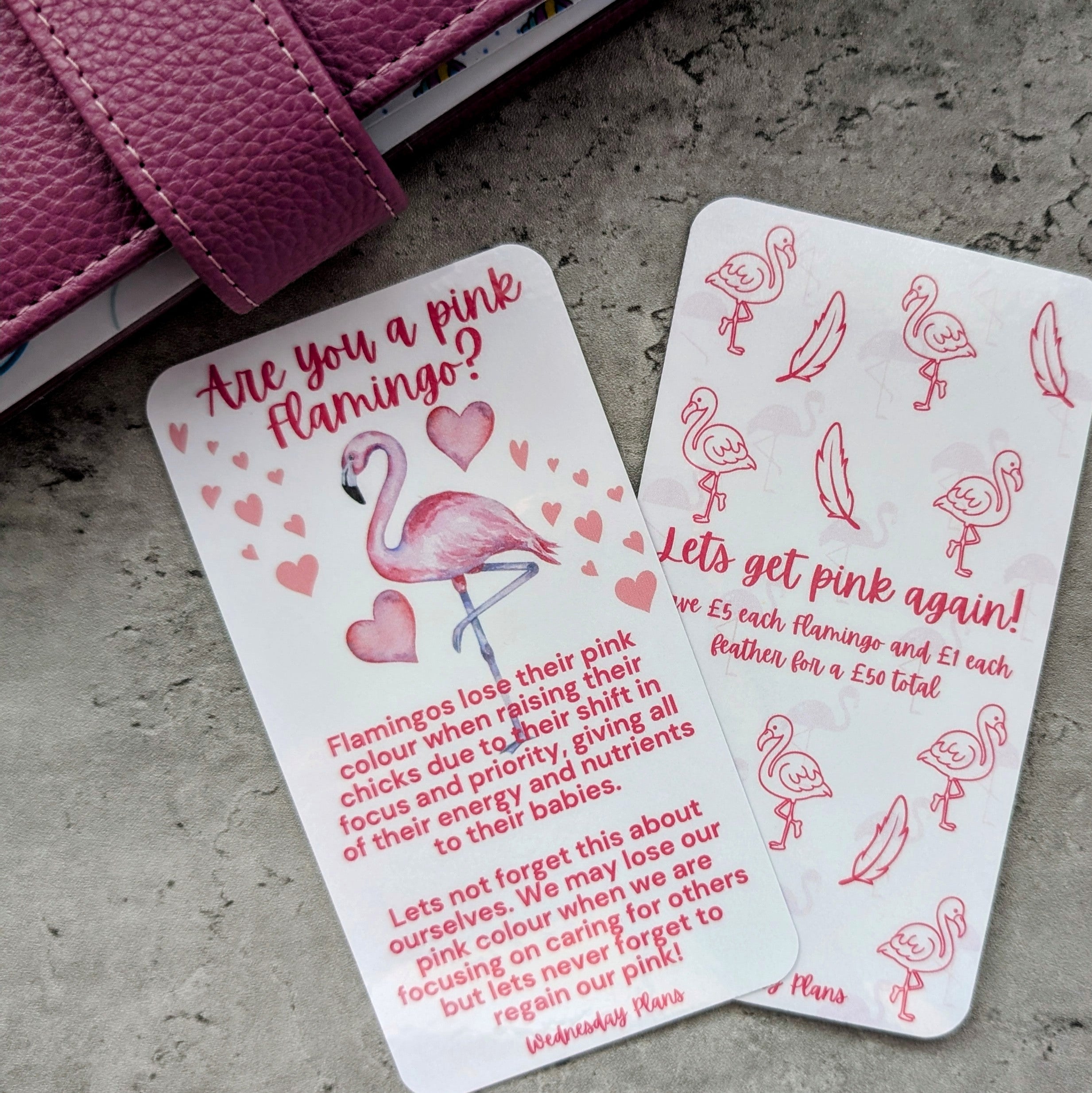 Pink Flamingo Savings Challenge – Wednesday Plans